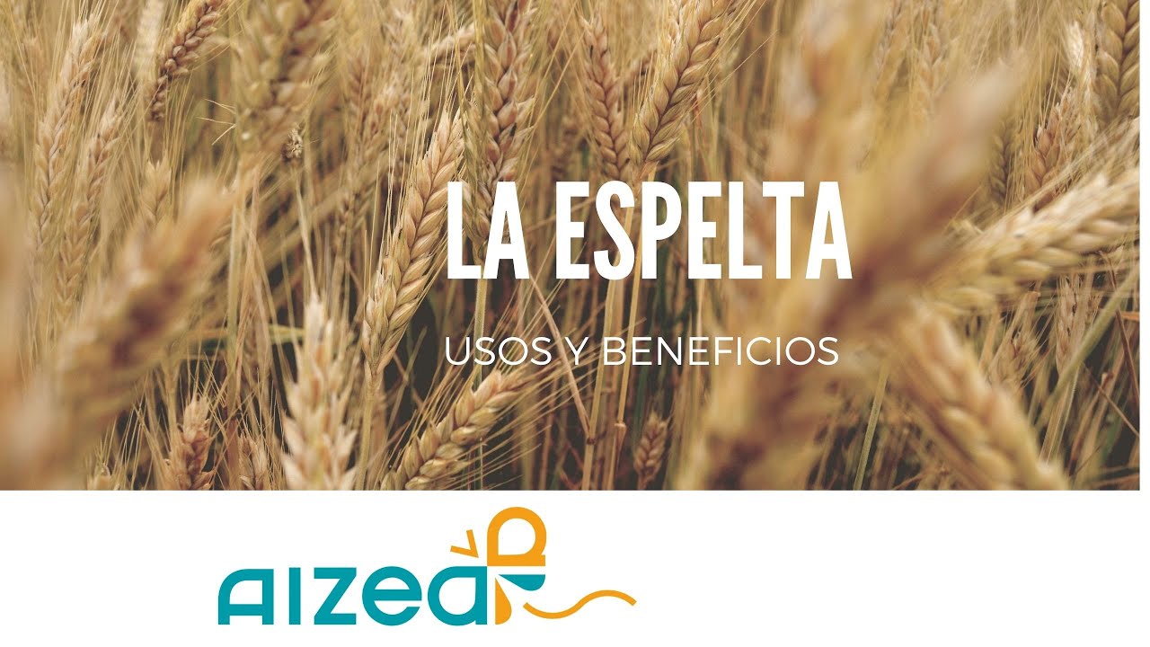 Aizea » , consultoría en nutrición y seguridad alimentaria